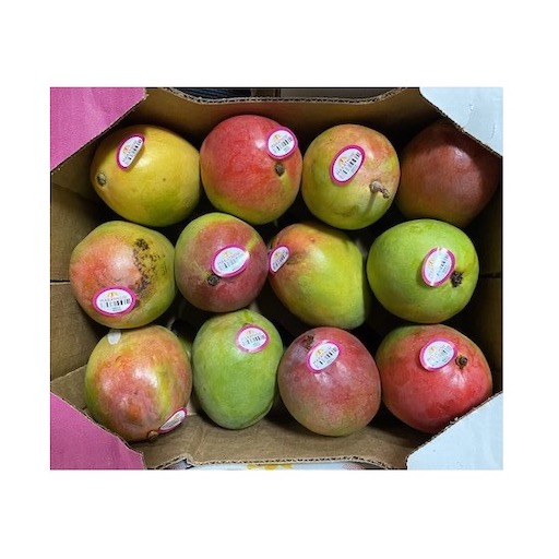 Buy Online Haden Mango Box (9-12 PCS) | NY USA.